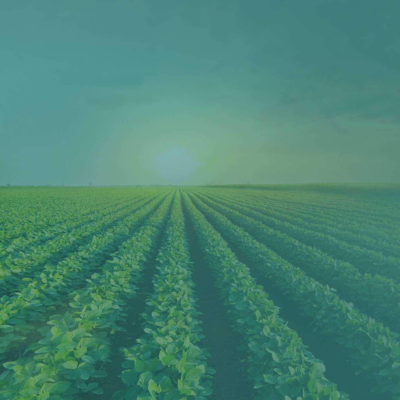EyeOn sustainability week 2021 – EyeOn